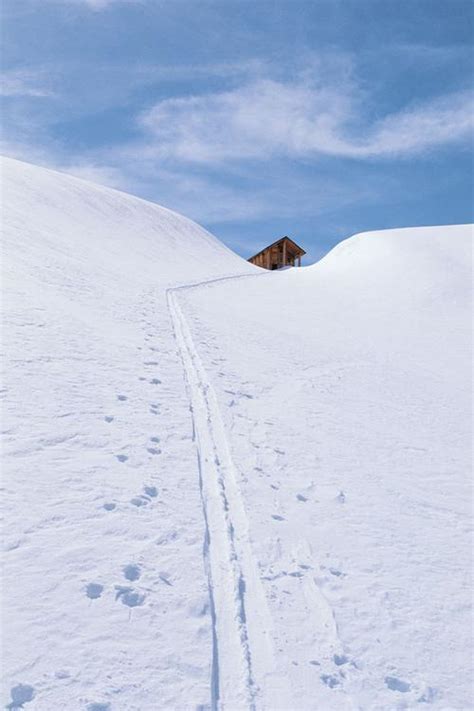 雪景图片真实图片 配图网