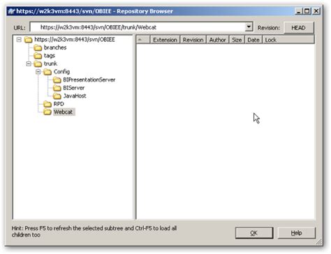 Obiee Software Configuration Management Part 3 Version Controlling