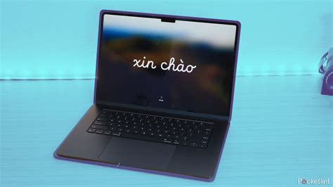 The Best Laptops Of 2024 Bright Screens Powerful Processors And