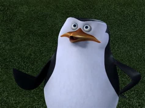 Some Pictures Of Skipper Skipper The Penguins Of Madagascar Photo