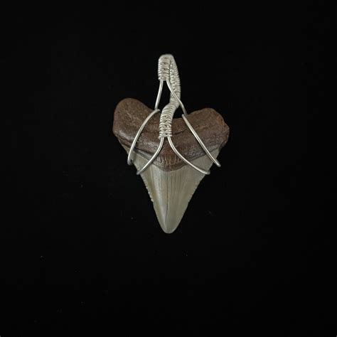 Fossilized Megalodon Tooth Pendant Handmade Jewelry Authentic
