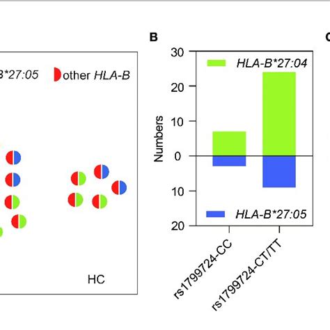 Genotyping Results Of 43 Hla B27 Positive Subjects A Hla B Download Scientific Diagram