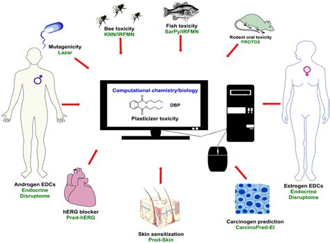 Pictorial Representation Of In Silico Analysis Of Various Predictive
