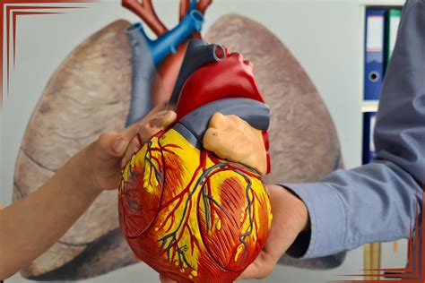 Pericarditis Qué Es Síntomas Y Causas
