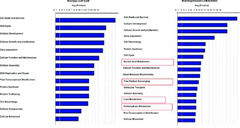 Ingenuity Pathway Analysis Top Cellular And Molecular Functions