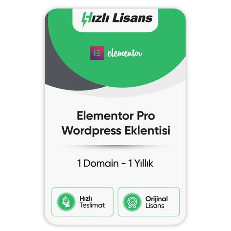 Elementor Pro Wordpress Eklentisi Hızlı Lisans