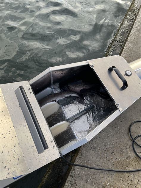 Pescavision 40 Fish counter - Faivre Aquaculture