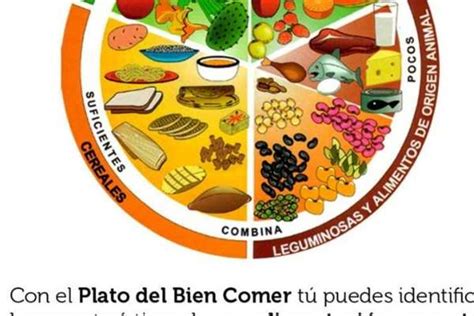 Cáncer Diabetes Y Desnutrición Las Consecuencias De La Mala