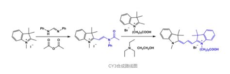 Mpeg Cy3 甲氧基 聚乙二醇 荧光染料cy3 Mpeg20k Cy3 Udp糖丨mof丨金属有机框架丨聚集诱导发光丨荧光标记推荐西安齐岳生物