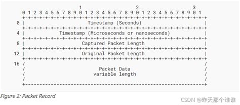 C语言使用libpcap输出报文到pcap文件c 语言 写入pcap文件 Csdn博客