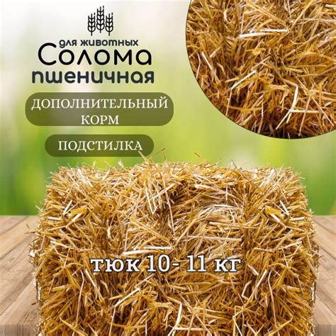 Солома для животных 10-11 кг Пшеничная купить на OZON по низкой цене ...