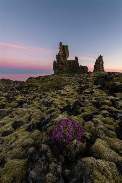 Mitglied Naturfotografen Schweiz