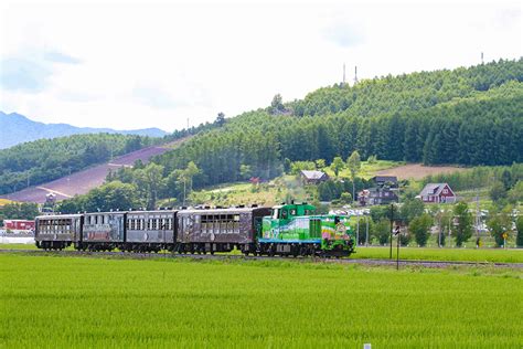 ノロッコ号 富良野美瑛 Photo Library 田園休暇