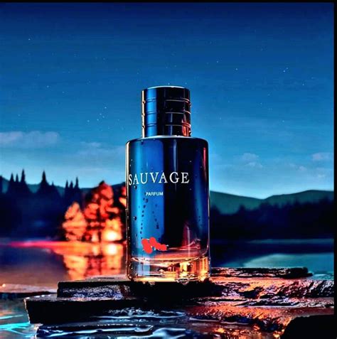 Мужская косметика Парфюмерия Fragrance World Fragrance World Sauvage ...