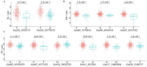 Genome Wide Association Study And Candidate Gene Mining Of Seed Size