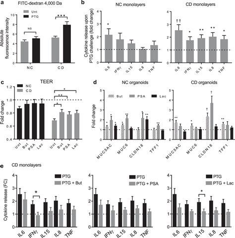 Effects Of Gliadin Butyrate Psa And Lactate On Barrier Function And