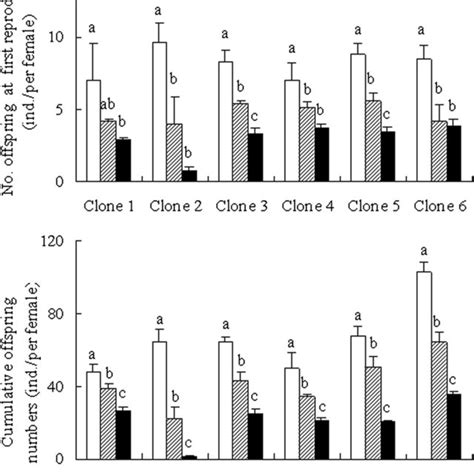 The Offspring Numbers At First Reproduction And Cumulative Offspring Download Scientific
