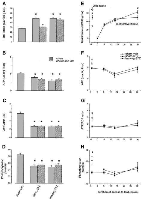 Hepatic Atp Content Atp Adp Ratio Phosphorylation Potential And