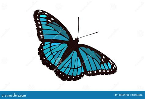 Blue Winged Monarch Butterfly Vector Stock Illustration