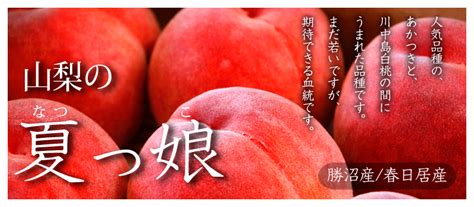 桃の通販 山梨のなつっこ春日居の桃果物産直の山梨ふるーつネット