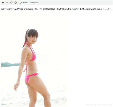 Tensorflow图片鉴黄 完整项目tensorflow鉴黄 Csdn博客