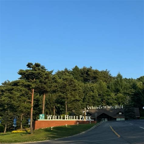 강원도 횡성 가성비 숙소 웰리힐리파크 콘도 스탠다드a 객실 및 부대시설 네이버 블로그