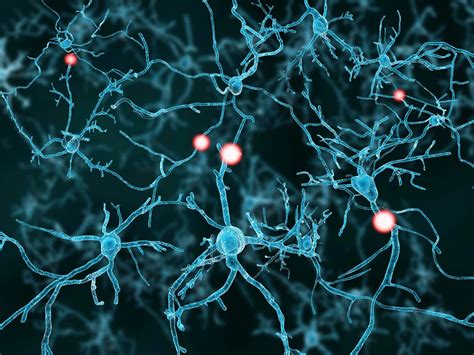 Neural Grid Labs