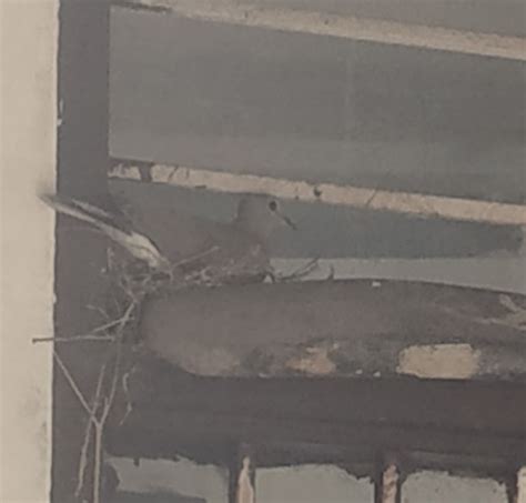 Aaditya Kumar On Linkedin It All Happens Twice A Year When There Was