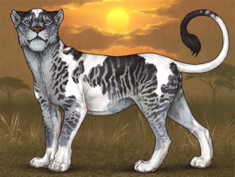 5 Hosted At Imgbb — Imgbb