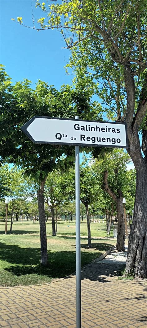 À DESCOBERTA DAS GALINHEIRAS ENTRE PASSADO PRESENTE E FUTURO