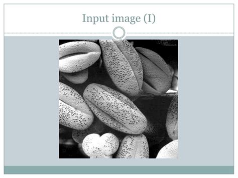 Contrast Limited Adaptive Histogram Equalization Pptx Photo Editing