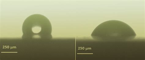 Coatings Title Story Articles From The Second Half Of 2024