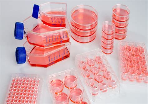 فروش رده سلولی Cell Line ساینس بازار