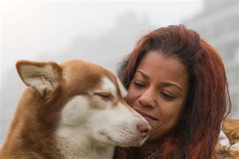 Comment Montrer Votre Chien Que Vous L Aimez Du Chien