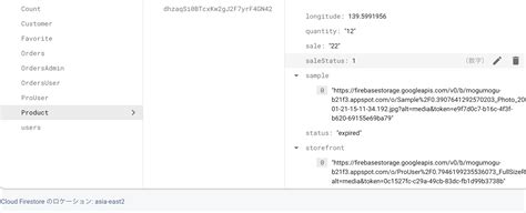 Javascript Vue Update Image In Firestore And Firebase Cloud Storage
