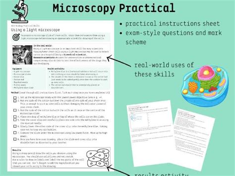 How To Draw Human Cheek Cell How To Draw Human Cheek Cell