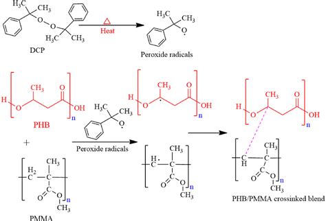 Figure 1 From Sustainable Polyhydroxyalkanoate Production From Food