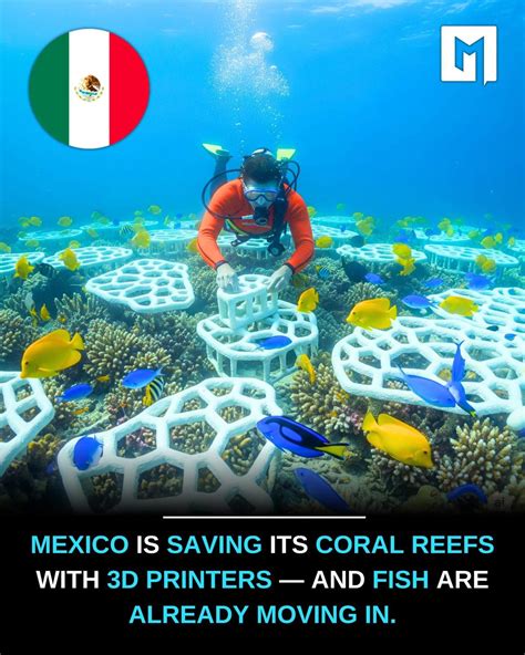 Sgreefclub Remember To Grab These Cute Src Decals When You Are At Specialised Aquatics