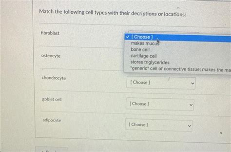 Solved Match The Following Cell Types With Their Decriptions Chegg