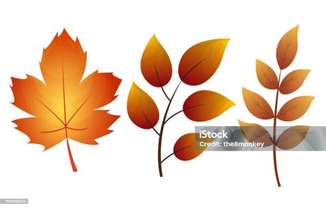 가을 잎 컬렉션입니다 흰색 배경에 고립 된 단풍 세트 간단한 만화 플랫 스타일 벡터 일러스트레이션 다색 가을 잎 평면 벡터 아이콘 0명에 대한 스톡 벡터 아트 및 기타