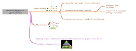 ТРОФИЧКИ ОДНОСИ односи исхране Ланац исхране معلومات عن السلسلة…