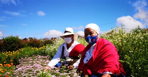 La Feria De Las Flores 2020 Se Sobrepone A La Pandemia Infobae