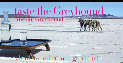 Swedish House Mafia Greyhound Scene Outpainting Ad Edit By Me Rdalle2