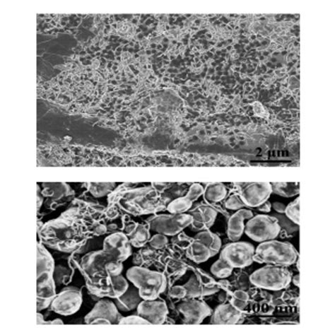 China High Quality Single Layer Carbon The Graphene Membrane For