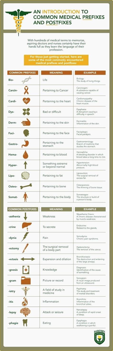 Medical Terminology Prefixes Worksheet Yooob Db Excel