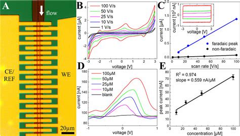 A Top Down False Color Optical Microscope Image Showing The Download Scientific Diagram