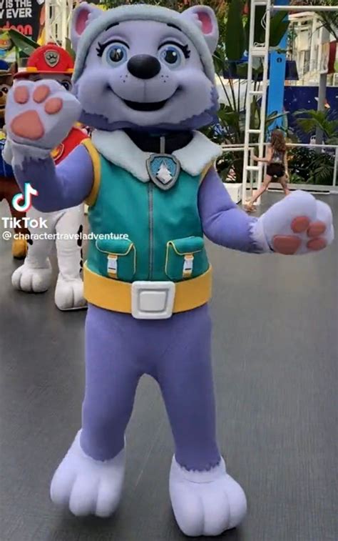 Pin By Monica Rodriguez On Escritorio Paw Patrol Characters Paw