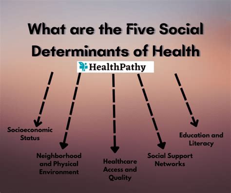 What Are The Five Social Determinants Of Health Healthpathy