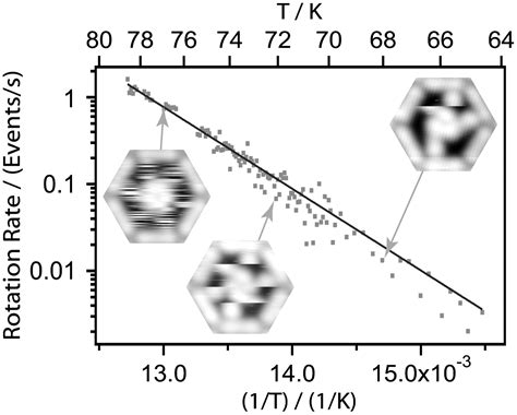 Rotational And Constitutional Dynamics Of Caged Supramolecules Pnas