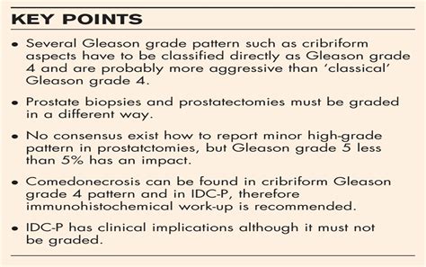 Evolution Of Prostate Cancer Histopathology Current Opinion In Urology